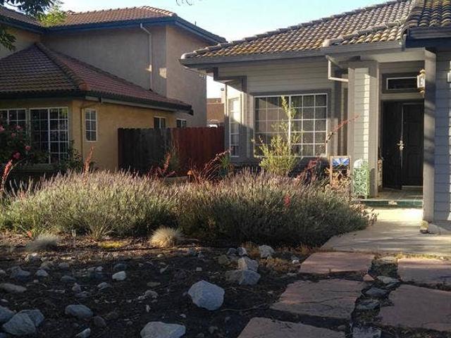 Looking for roommates for my house
