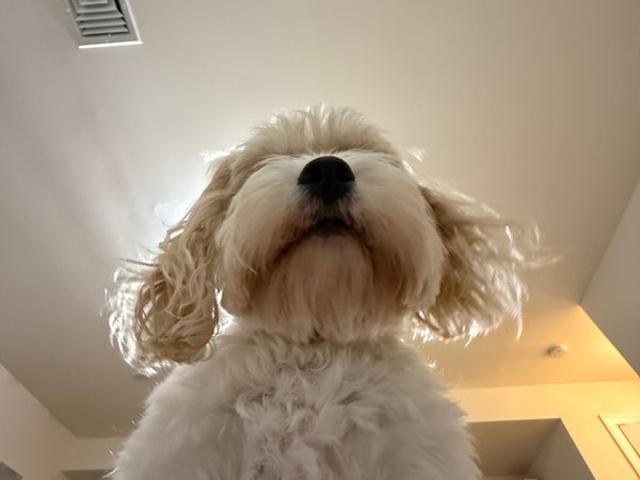 LOOKING FOR ROOMMATES! females preferred