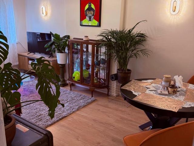 Looking for share my flat with professional