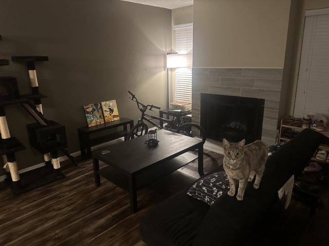 Looking for someone to be my Roommate!