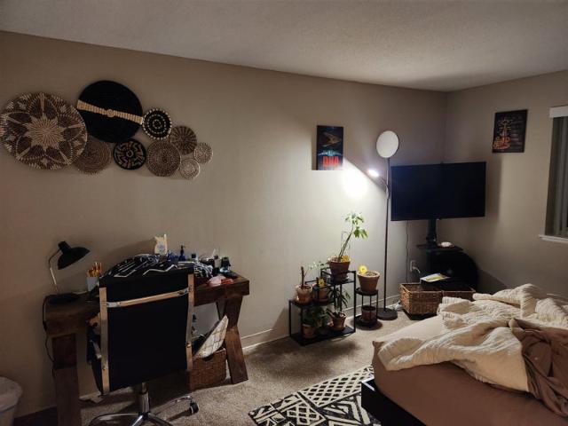 Looking for someone to share rent