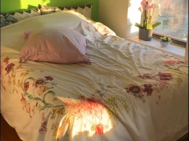 Looking to fill a room in beautiful East Harlem