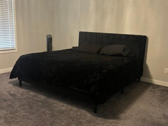 Looking to rent this room out asap