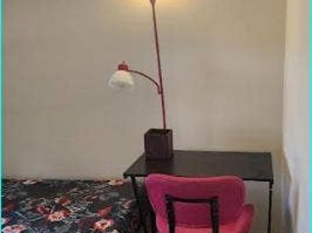 looking 4 a professional roommate!