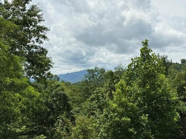 Lookout Pt Lot 4, Bryson City, NC 28713