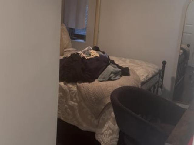 Looks for roommate to sign lease