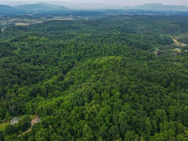 Looney Rd, Parrottsville, TN 37843