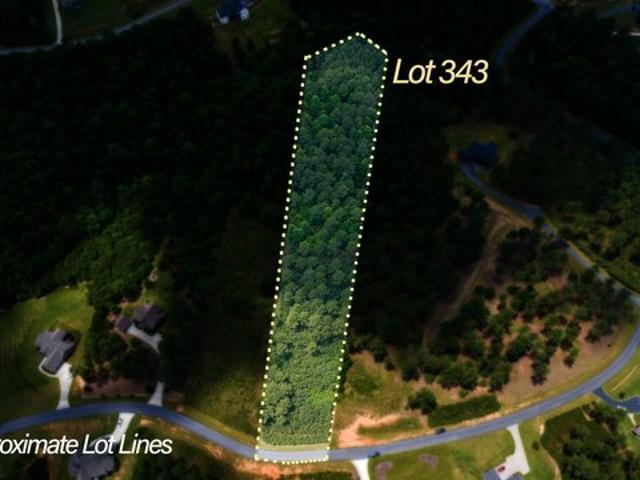 Loop Ln Lot 343, Blairsville, GA 30512