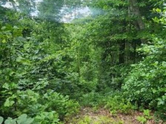 Locust Cv Lot 26, Holladay, TN 38341