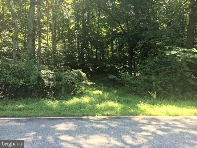 Locust Grove Drive