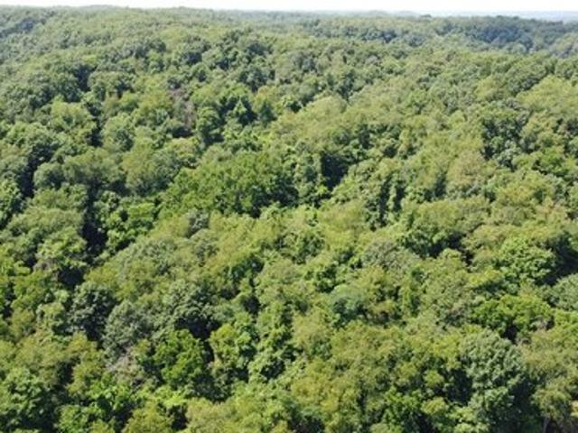 Locust Hill Rd, Chester, WV 26034
