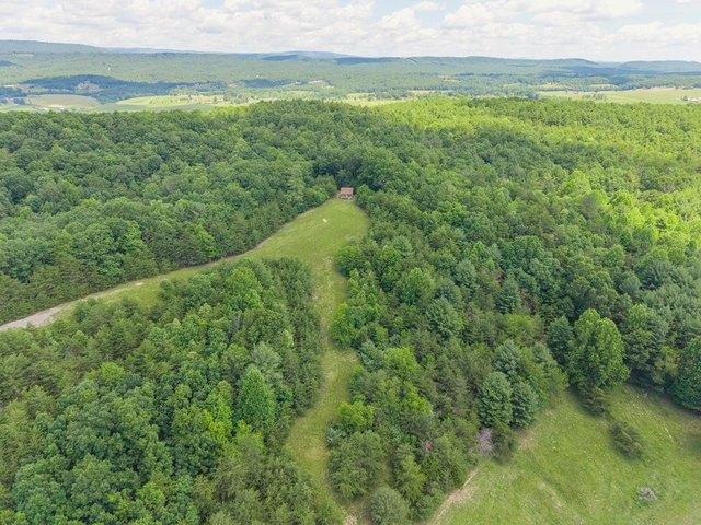 Locust Hill Rd Lots 1 & 12, Max Meadows, VA 24360