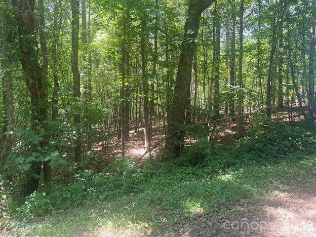 Locust Ln, New London, NC 28127