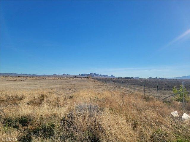 Locust, Lucerne Valley, CA 92356