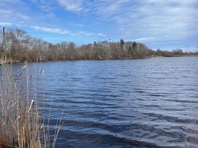 Locust Rd, Orleans, Plot For Sale
