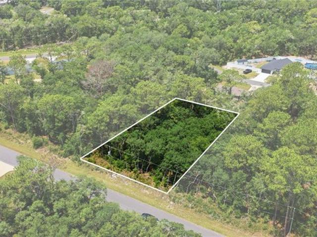Locust Terrace Trl Lot 12, Ocala, FL 34472