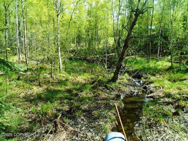 Loc Sault Ave NW Lot 102, Anchorage, AK 99516