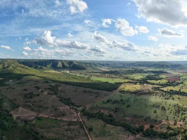 Localização, Oportunidade, Agro