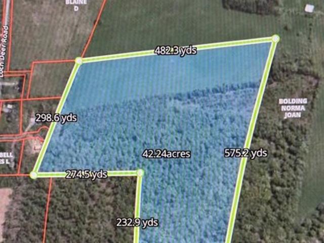Loch Deer Rd Lot B, Oakland, MD 21550