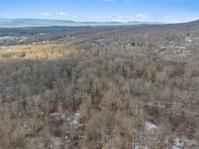 Loch Ln, Montgomery, NY 12586