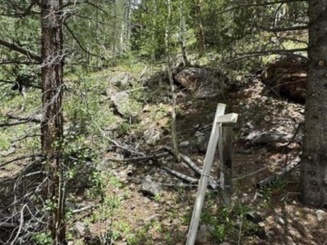 Loch Lomond Rd Lot 6, Idaho Springs, CO 80452