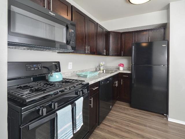 Lockwood 1 Bedroom Apartment for Rent at 11431 Lockwood Dr, White Oak, MD 20904 White Oak
