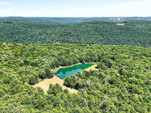 Lockwood NY 14859 104904022