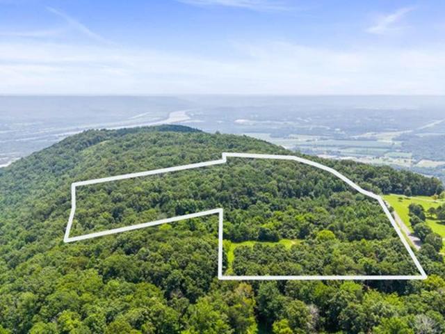 Lodge Point Rd, South Pittsburg, TN 37380