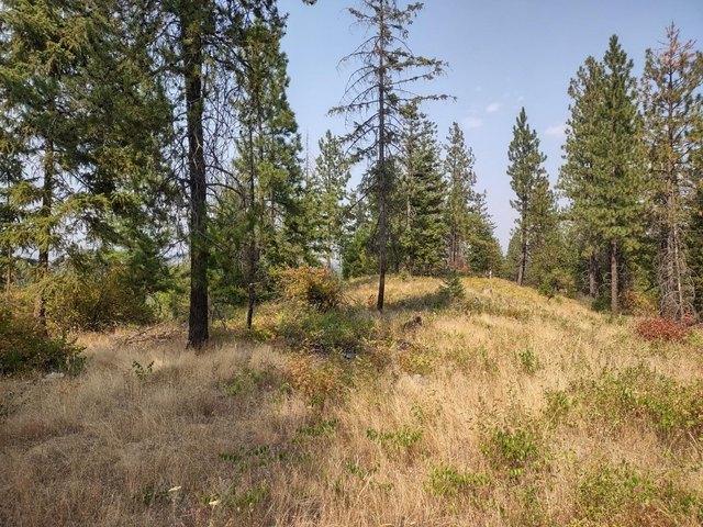 Lodgepole Ln, Elk, WA 99009