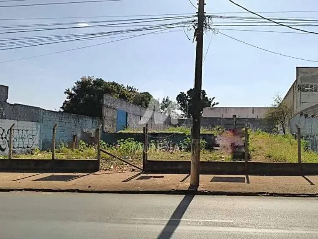 Loft para Locação em Ribeirão Preto/SP Campos Elíseos