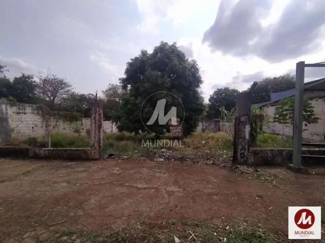 Loft para Locação em Ribeirão Preto/SP Vila Elisa