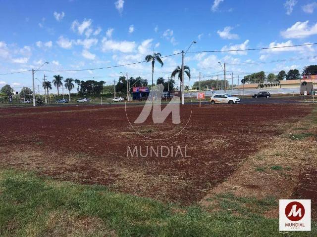 Loft para Venda em Ribeirão Preto/SP Jardim Cristo Redentor