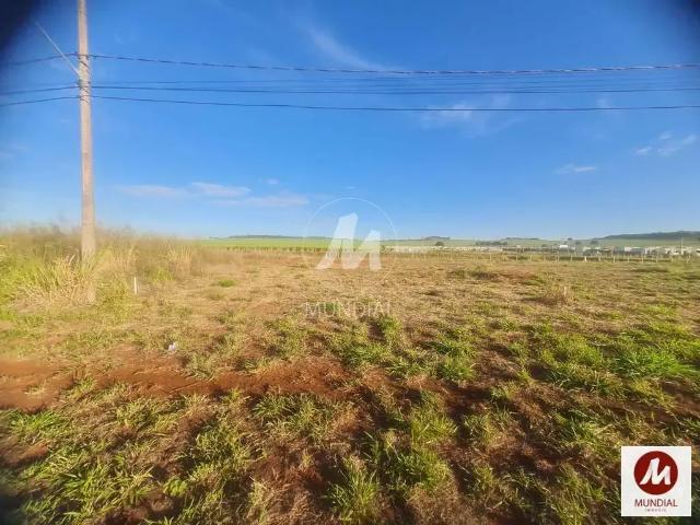 Loft para Venda em Ribeirão Preto/SP Recreio Anhangüera