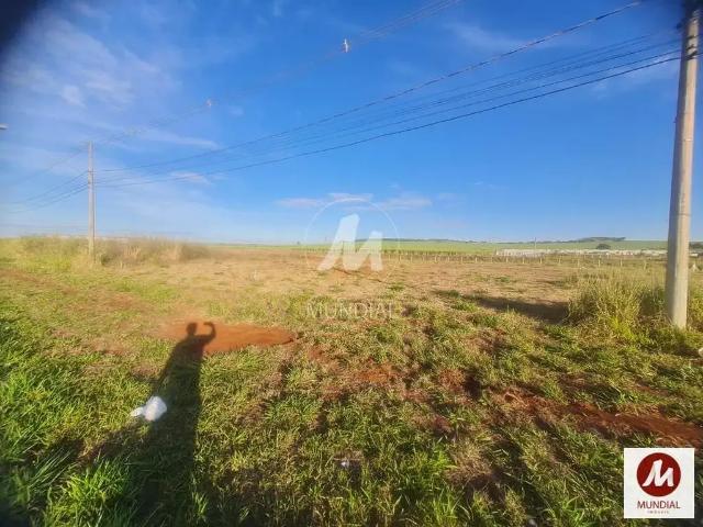 Loft para Venda em Ribeirão Preto/SP Recreio Anhangüera