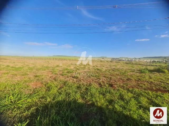 Loft para Venda em Ribeirão Preto/SP Recreio Anhangüera