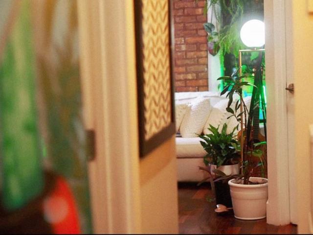 Loft Room in BK Brownstone for Cat Lovers