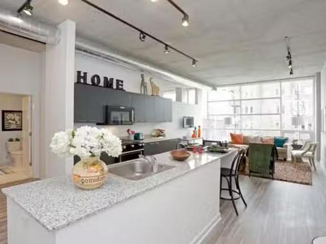 Loft 1 bedrooms in West Town