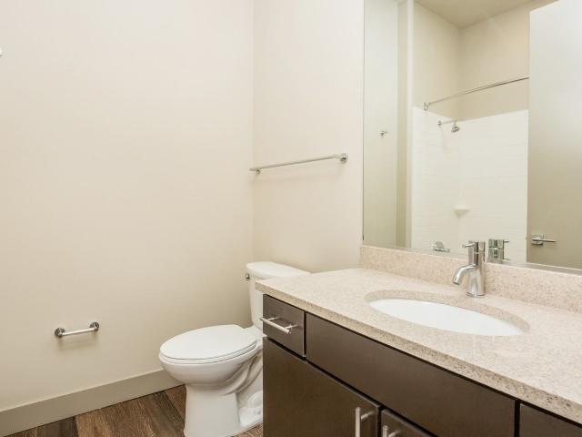 Lofts at Lincoln Station 1 Bedroom Apartment for Rent at 9375 Station St, Lone Tree, CO 80124
