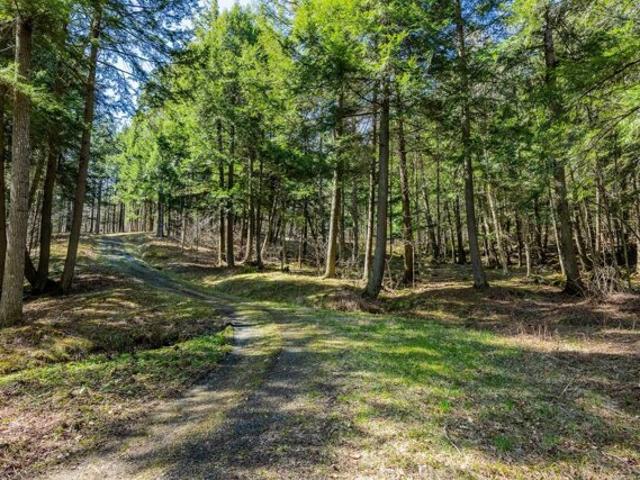 Log Cabin Dr, Pomfret, Plot For Sale
