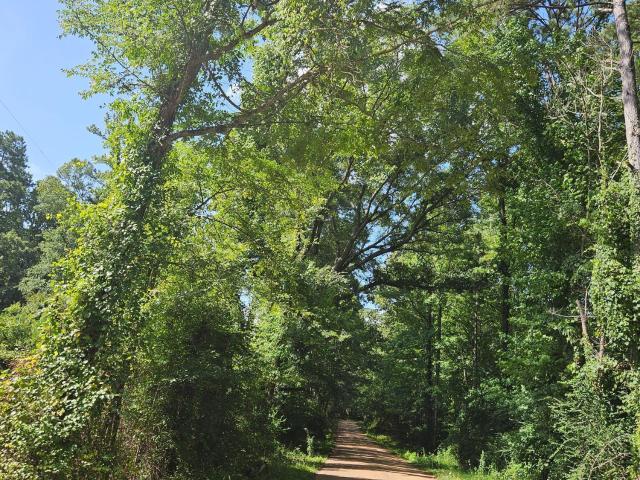 Log Cabin Road, Roxie, MS 39661