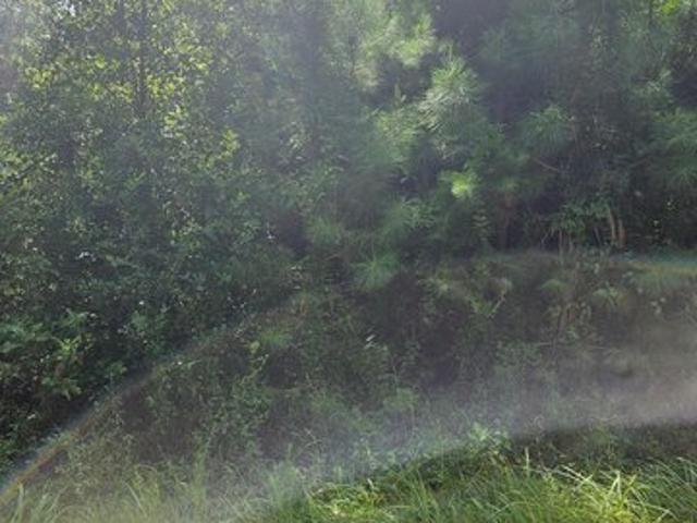 Log Cabin Rd, Roxie, MS 39661