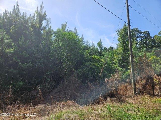 Log Cabin Rd, Roxie, MS 39661