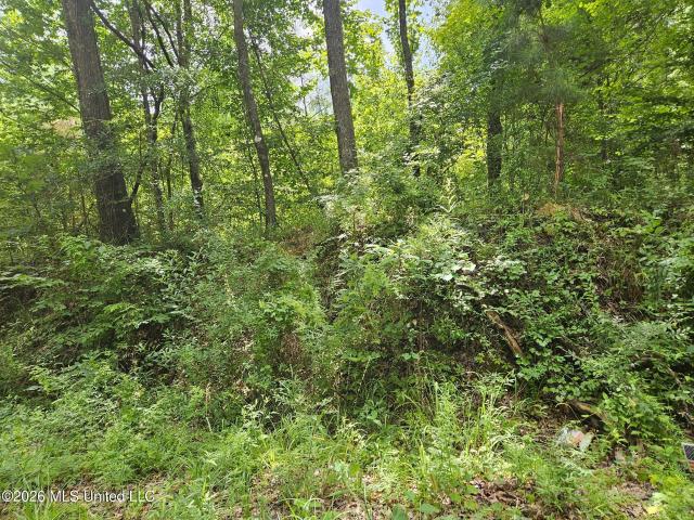 Log Cabin Rd Road, Roxie, MS 39661