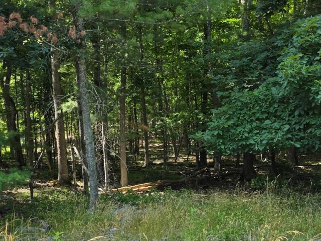 Log Tavern Road