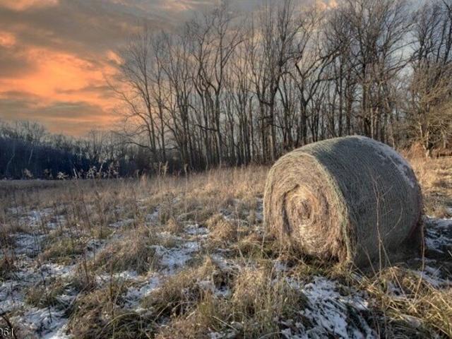 Logan Dr, Tewksbury Township, Plot For Sale