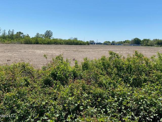 Logan Sewell Drive, Vidalia, LA 71373
