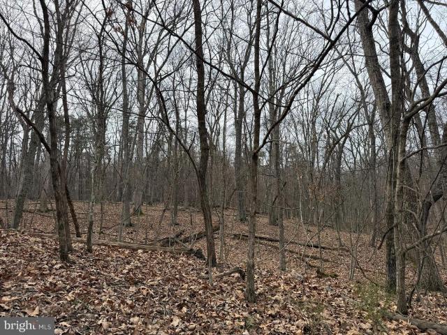 Logger Drive # LOT 82