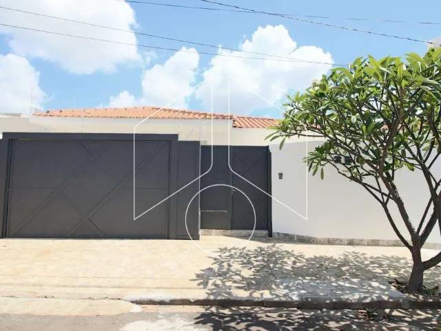 Loja / Comércio para Locação em Marília/SP Jardim Maria Izabel 3 Quartos