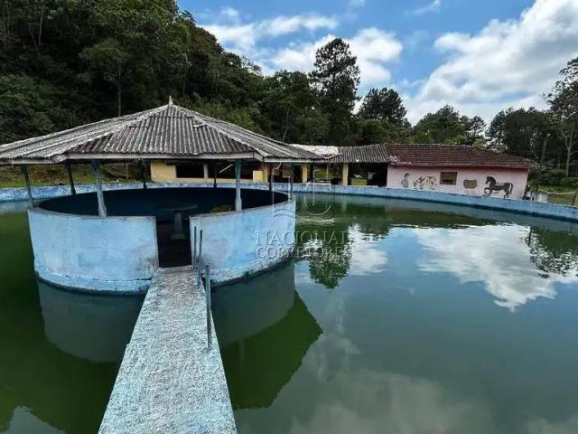 Loja / Comércio para Locação em Mauá/SP Chácara São Lucido