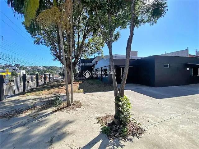 Loja / Comércio para Locação em Novo Hamburgo/RS Hamburgo Velho